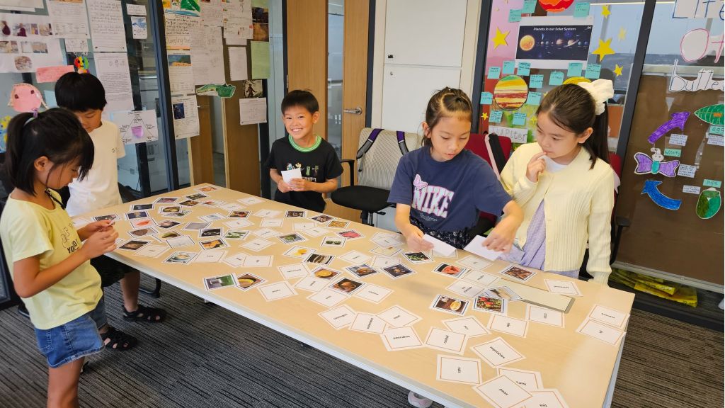 Phonics and Reading Program