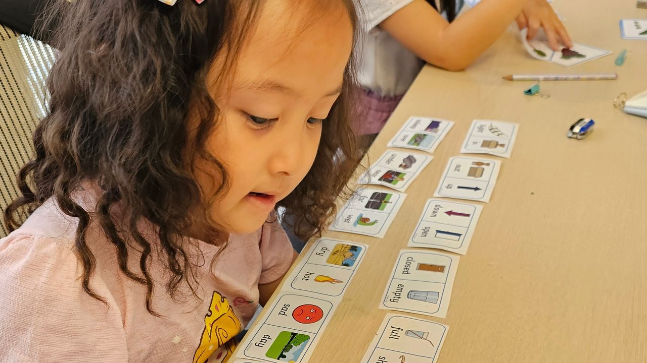 Phonics and Reading Program